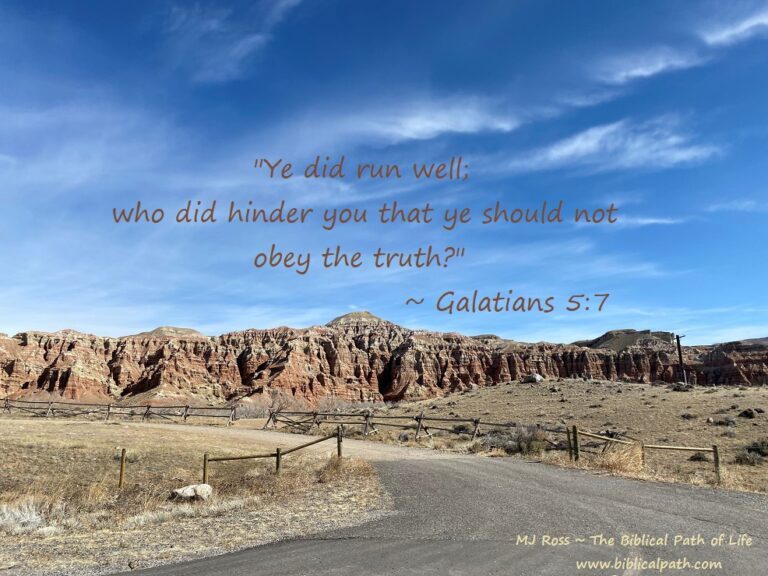 Lesson 5 2 Kings 21 2 Chronicles 33 Manasseh Amon The Biblical